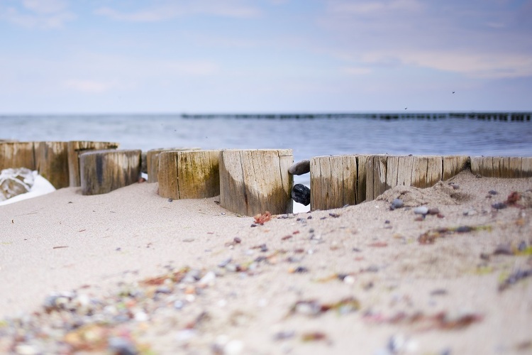 Börgerende-Rethwisch, offizielle Webseite - Gemeinde Börgerende-Rethwisch